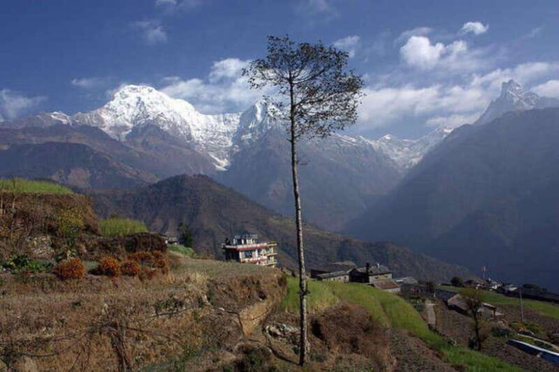 5 Days Easy Annapurna Base Camp Trek - Real Traveler Insights