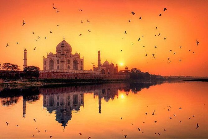 5 Days Excursion of India's Golden Triangle Tour - Pricing and Value