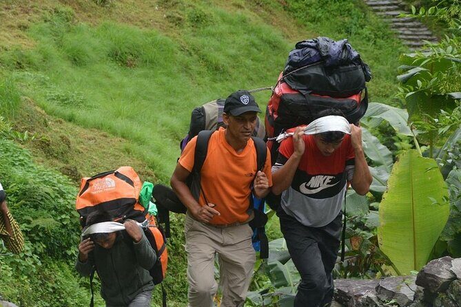 5 Days Ghorepani Poonhill Trek - An In-Depth Look at the 5-Day Ghorepani Poonhill Trek