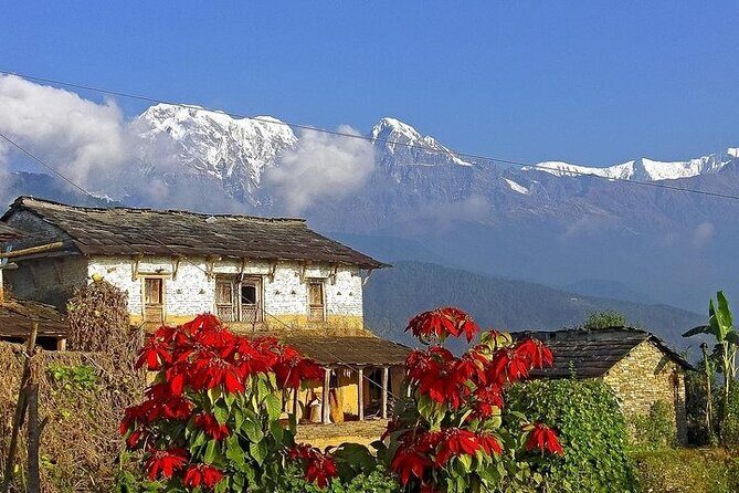 5 Days Ghorepani Poonhill Trek - The Sum Up