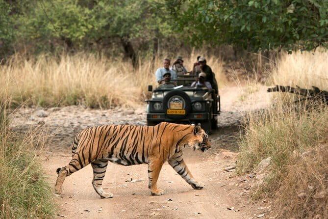 5 Days Golden Triangle Tour with Ranthambore Delhi, Agra, Jaipur - Key Points