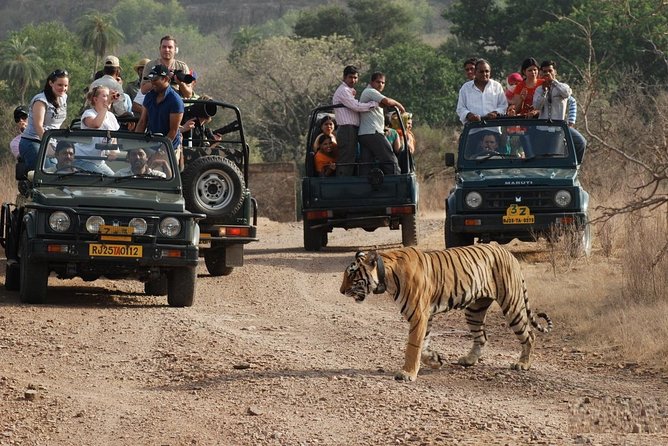 5 Days Golden Triangle Tour with Ranthambore Tiger Safari - Who Should Consider This Tour?