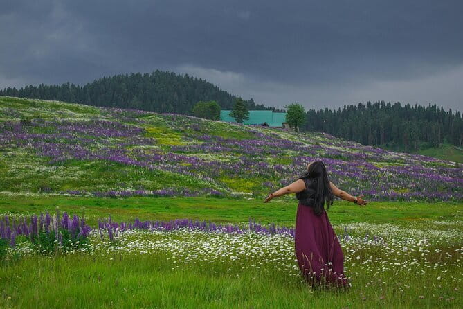 5 Days Kashmir Beauty Tour with Accommodation and Transport - Key Points