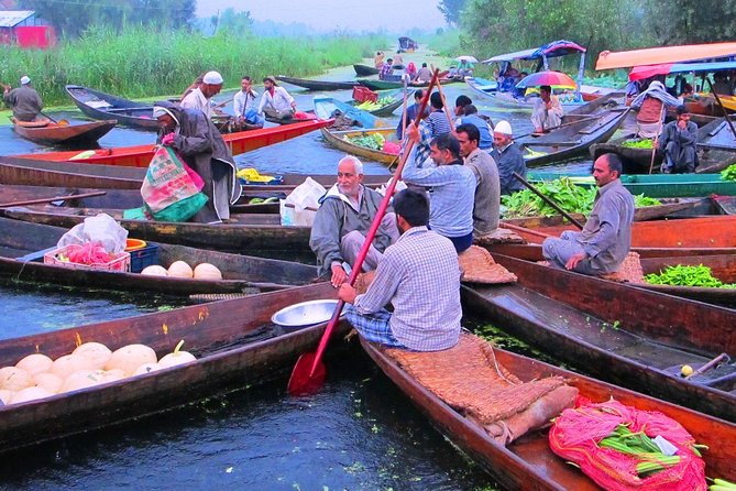 5-Days Kashmir tour includes Accommodation and Private Transportation - Who Should Consider This Kashmir Tour?