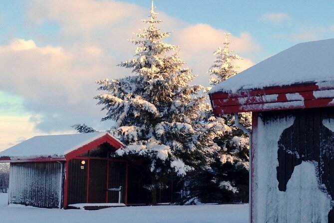 5-Days Land of Northern Lights Tour From Reykjavík - Glaciers, Mountains, and Natural Wonders