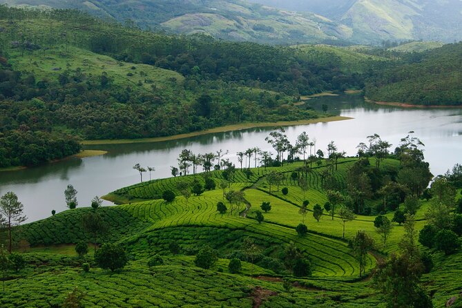 5 Days Luxury Kerala Tour with Houseboat Experience - Who Should Consider This Tour?