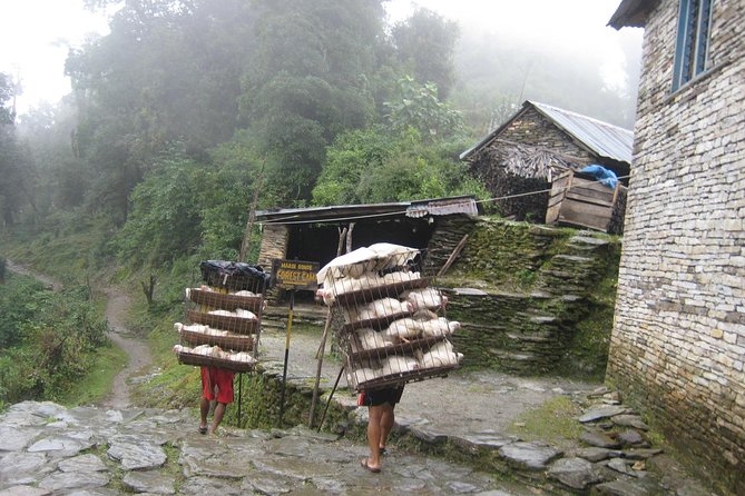 5 Days Mardi Himal Base Camp Trek - The Experience of the Trek