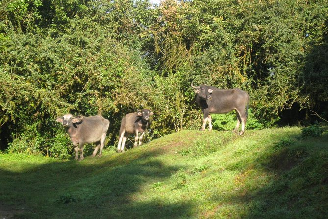 5 Days Mardi Himal Base Camp Trek - Who This Trek Is Best For