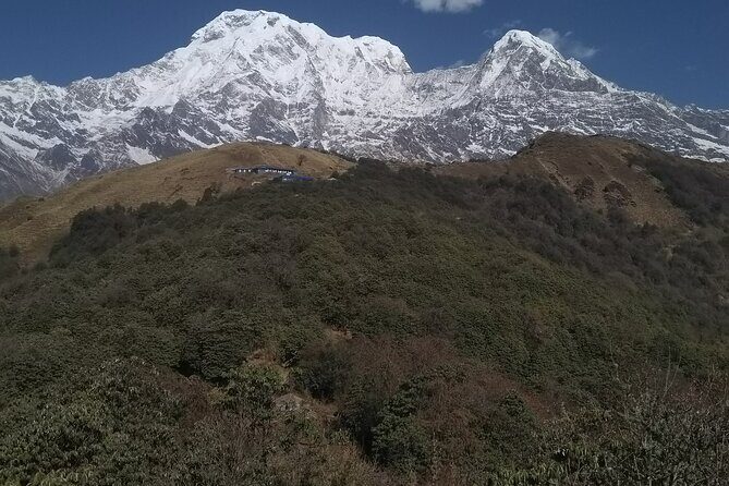 5 Days Mardi Himal Trek. - FAQ
