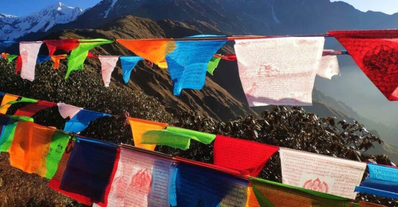 5 Days Mardi Himal Trek - Key Points