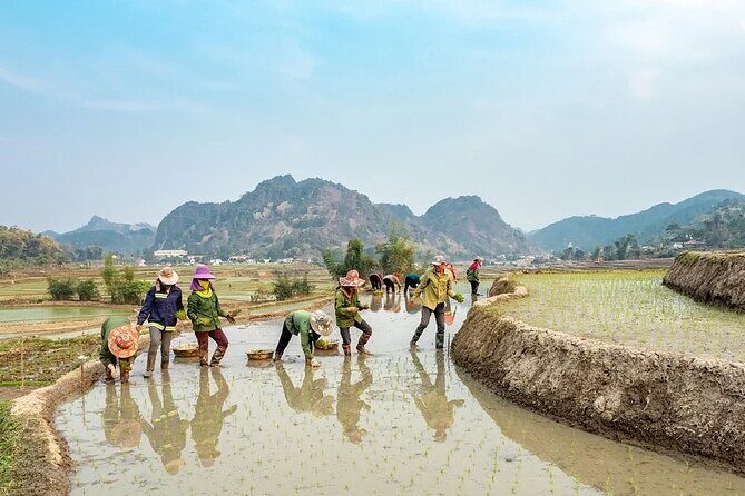 5 days North Vietnam at a Glance:Hanoi, Halong bay & Sapa - Practical Tips for Travelers