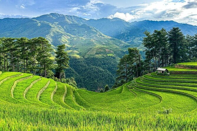 5 days Northwest adventures with Bac Ha Sunday Market - Day 1: From Hanoi to Mai Chau and Moc Chau