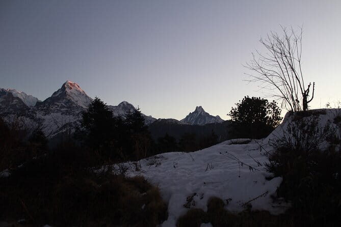 5 days Poon Hill Trek with Half Day Seti River Rafting - What Makes This Tour Stand Out?