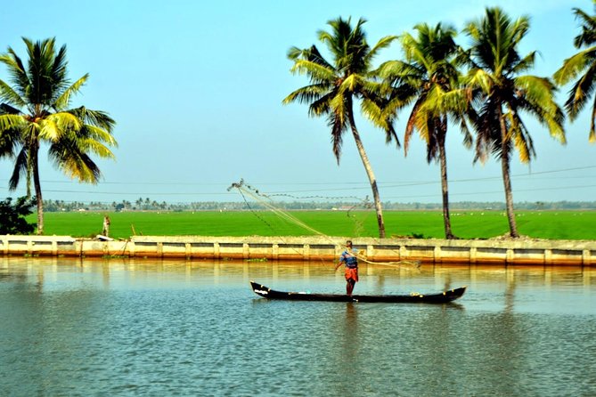 5 Days Private Kerala Tour Package by Saffron India Tours - Day 2: Munnar’s Mountains and Wildlife