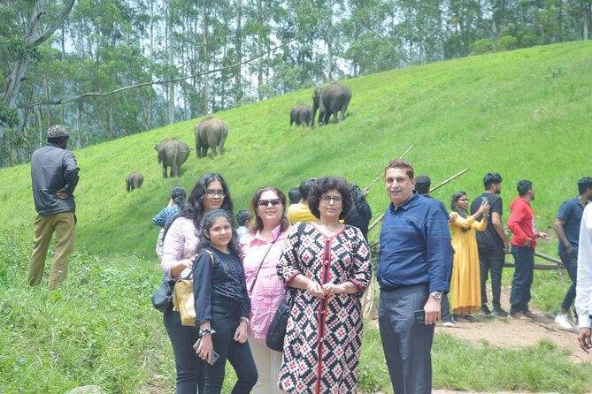 5-Days Private Kerala Tour with Sightseeing Tickets - What Travelers Say