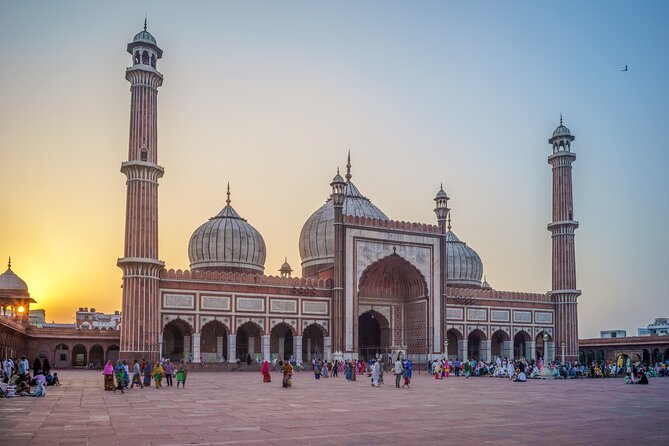 5 Days Private Tour of Delhi, Agra, Jaipur - Essential India - What You Can Expect at Each Stop