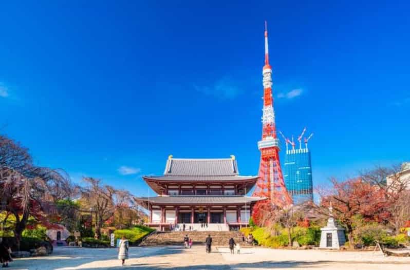 5-Days Private Tour Tokyo, Mt Fuji, Nikko, Hakone and Nagano - Key Points