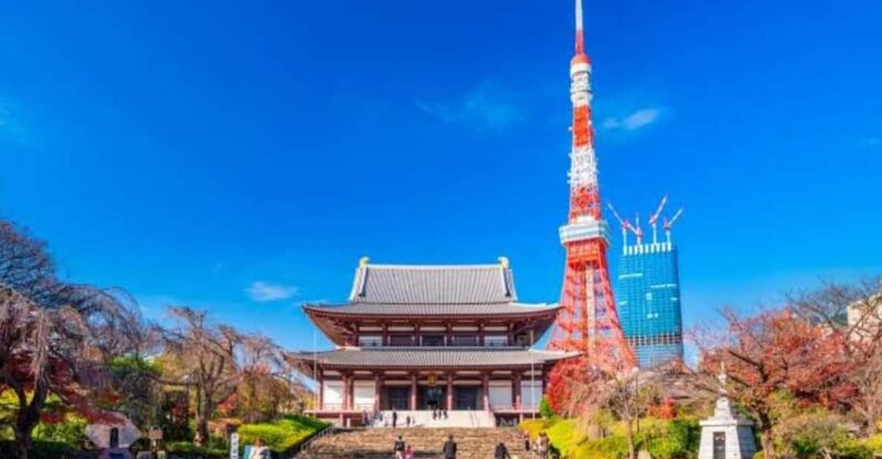 5-Days Private Tour Tokyo, Mt Fuji, Nikko, Hakone and Nagano - Itinerary Highlights