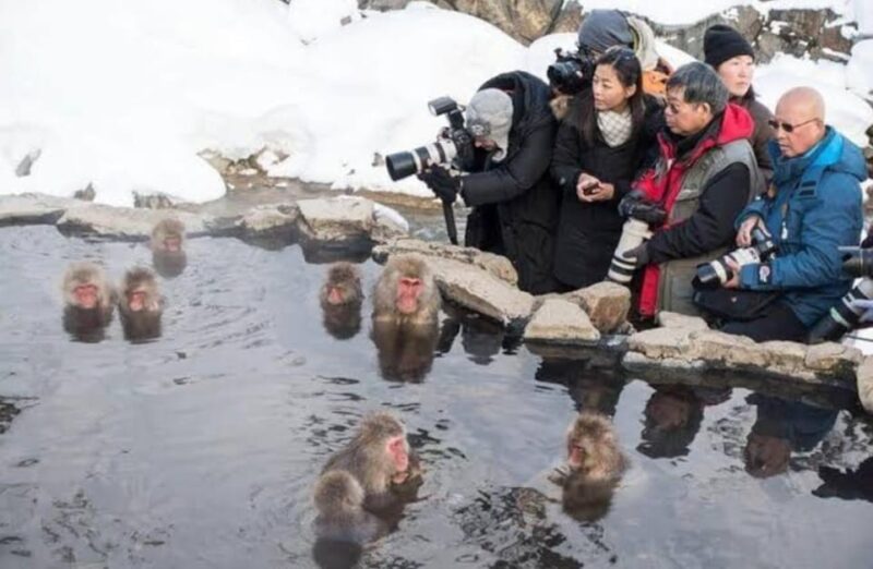 5-Days Private Tour Tokyo, Mt Fuji, Nikko, Hakone and Nagano - Day 3: Hakone