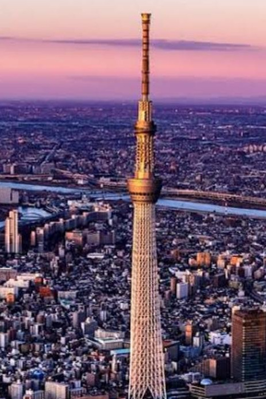 5-Days Private Tour Tokyo, Mt Fuji, Nikko, Hakone and Nagano - Frequently Asked Questions