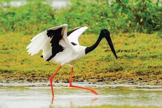 5 Days - Private Wildlife Photography Tour with Unique Accommodation options - Key Points