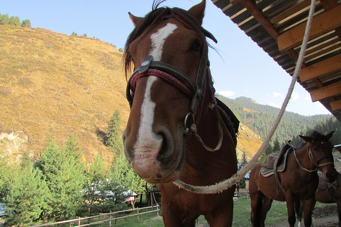 5 days sightseeing and skiing trip in Kyrgyzstan - Final Thoughts