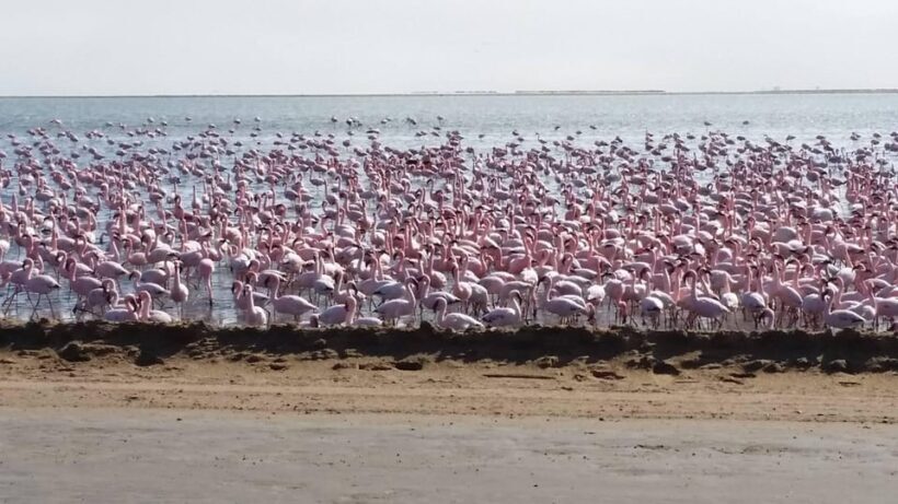 5 Days Sossusvlei and Swakopmund Tour - Shared Shuttle - Key Points