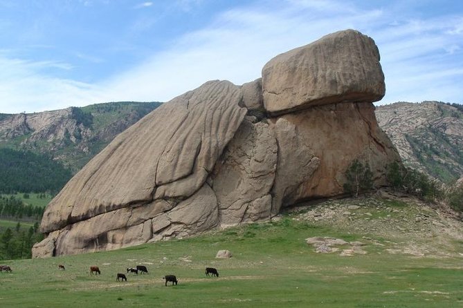 5 Days Terelj national Park Tour From Central Mongolia - The Sum Up