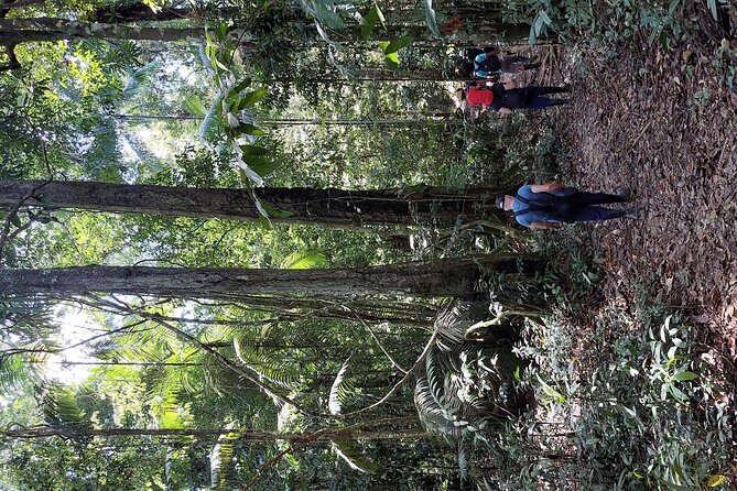 5 DAYS TOUR, Culture and Nature of the Amazon...Non-Mass & Sustainable TOUR. - Preparation and Recommendations