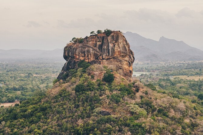 5 Days Tour In Sri Lanka - The Sum Up: Who Is This Tour Best For?