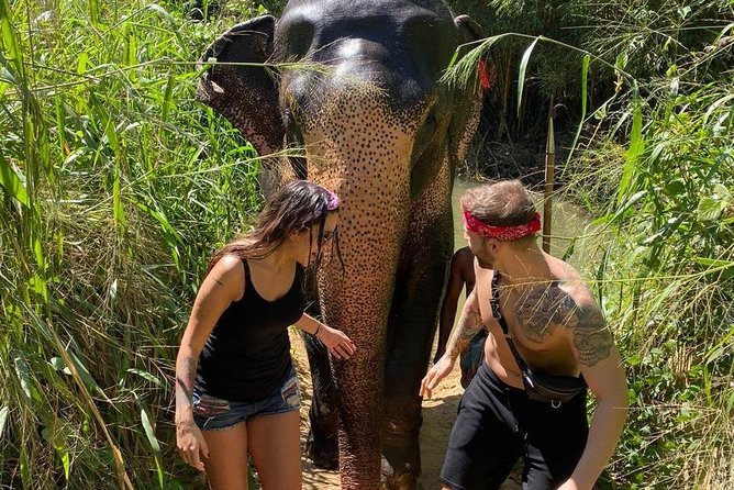 5 Days Tour in Sri Lanka (Hotels with Breakfast & Luxury Car) - Who Will Love This Tour?