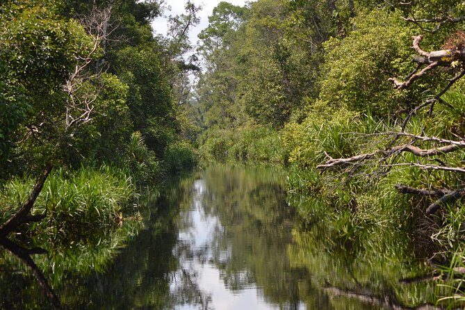 5 Days Truly Orangutan Wildlife Jungle Trail - Who Will Love This Tour?