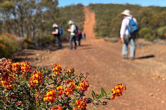 5 Days Walking with Wildflowers - Fitzgerald Biosphere - Final Thoughts