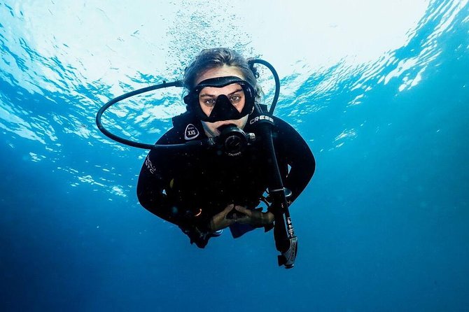 5 Fun Dives in Nusa Lembongan (for certified divers) - Swim with a Mola Mola - The Value for Money