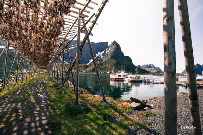 5 Highlights Of Lofoten From Svolvær - Unique Outdoor Experiences