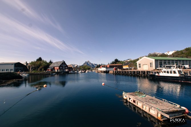 5 Highlights Of Lofoten From Svolvær - Cozy Basecamp Amenities