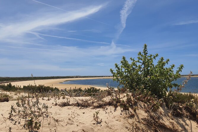 5 Hour Boat Tour in Ria Formosa - Insights Into Ria Formosas Unique Ecosystem