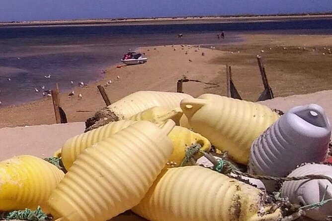 5 Hour Boat Tour in Ria Formosa - How to Book Your Trip and Payment Options