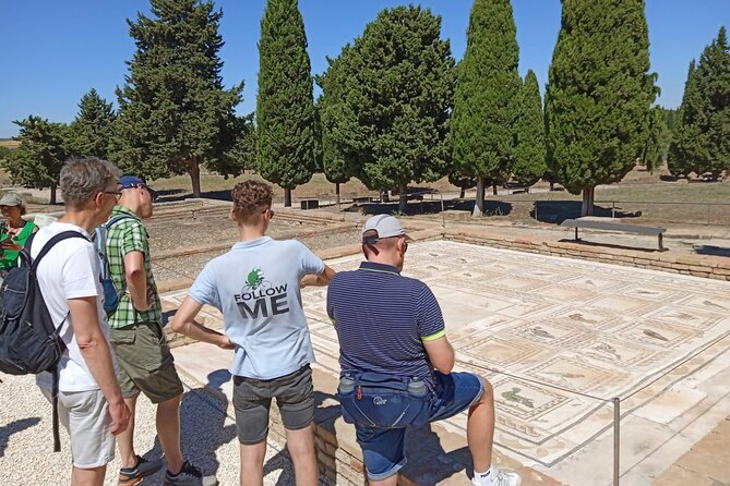 5 Hour Electric Bike Tour to the Ruins of Italica - Meeting and Departure Information