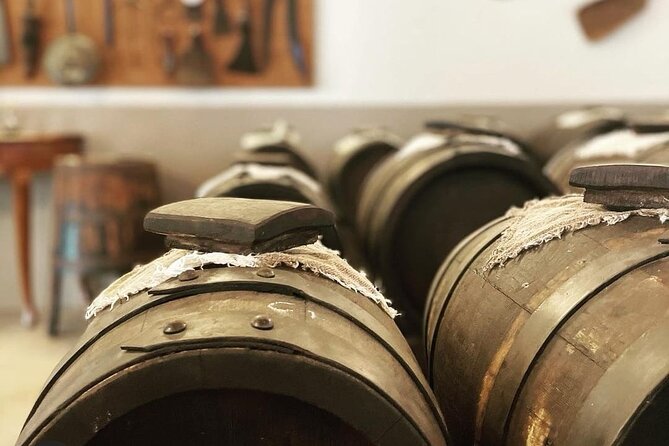 5-Hour Food and Wine Tasting in Modena - Final Thoughts