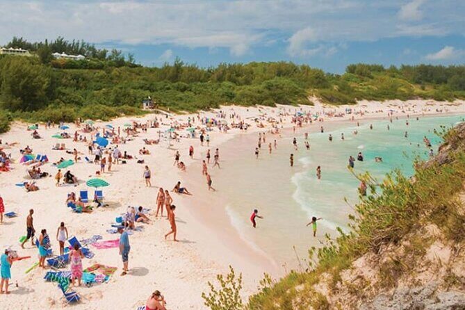 5 Hour Guided Private Tour of Bermuda - Key Points
