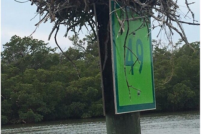 5 Hour Keewaydin Island Beach Tour - A Closer Look at the Keewaydin Island Beach Tour