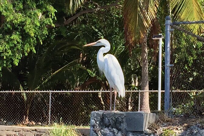 5 Hour Keewaydin Island Beach Tour - Final Thoughts
