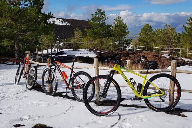 5-Hour Mount Etna Mountain Biking Tour - Insights from Past Participants