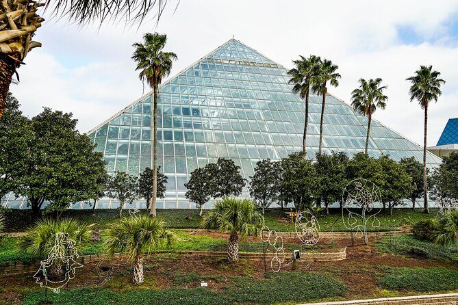 5 Hour Private Coastal Adventure in Galveston Island - What’s Included and What’s Not