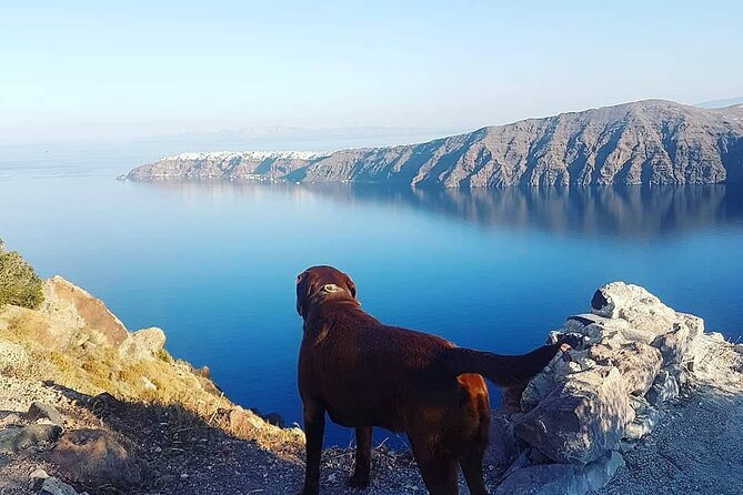 5-Hour Private Custom Santorini Tour - FAQs About the 5-Hour Private Santorini Tour