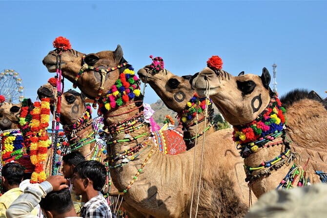5-Hour Private Tour in Old Delhi: Chandni Chowk, Red Fort & Raj - Final Thoughts: Who Should Consider This Tour?
