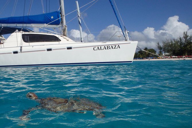 5-Hour Small-Group Catamaran Cruise from Bridgetown with Lunch - Key Points