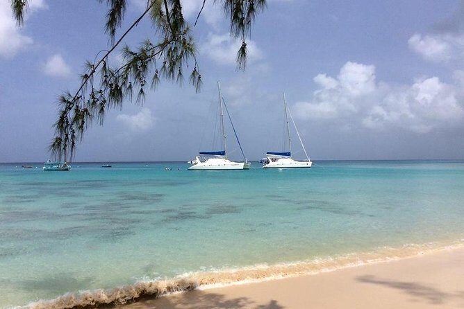5-Hour Small-Group Catamaran Cruise from Bridgetown with Lunch - Deep Dive into the Details