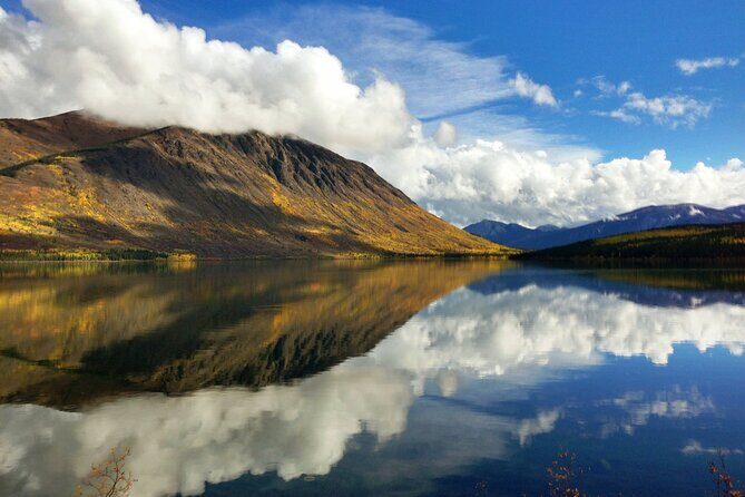 5 Hour Tour to the Yukon Border with Suspension Bridge - FAQ